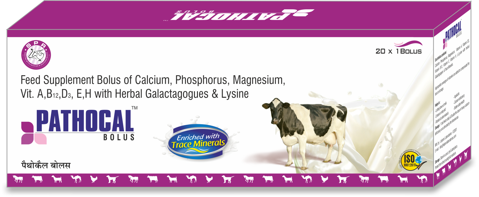 Pathocal bolus – sprvetmed